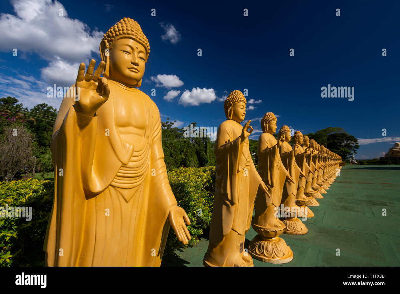 Buddha statues lined up on buddhist temple Chen Tien Stock Photo - Alamy