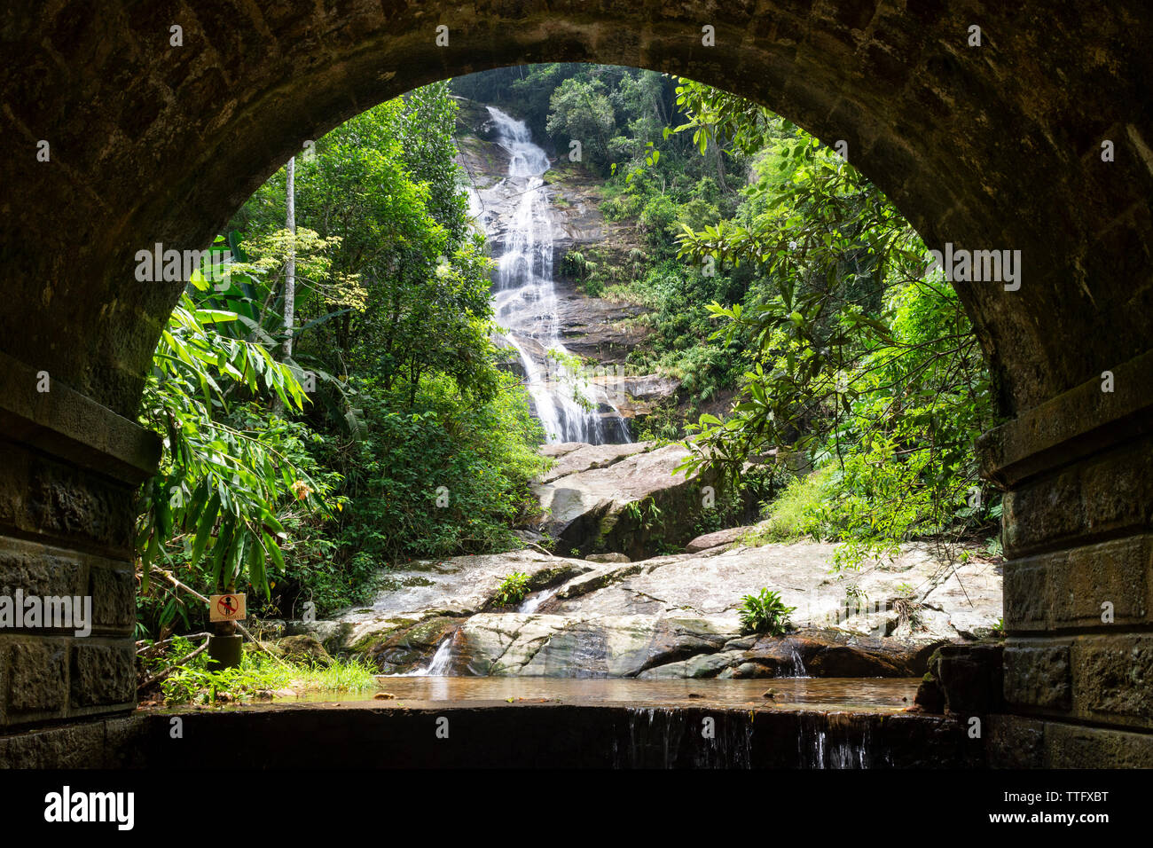 Tijuca forest national park hi-res stock photography and images - Alamy