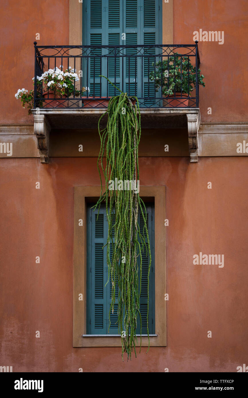 Cactus building architecture hi-res stock photography and images - Alamy