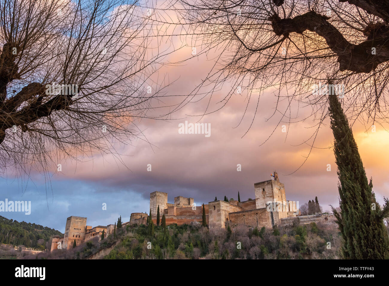 Alhambra castle framed by trees in Granada Stock Photo - Alamy