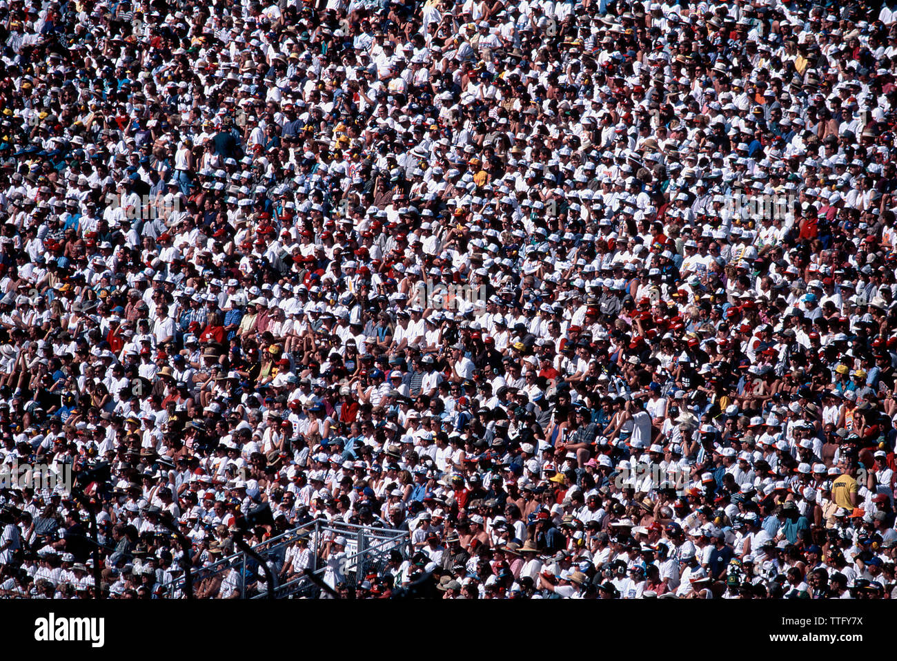 NASCAR racing fans watch the action in Phoenix Arizona Stock Photo - Alamy