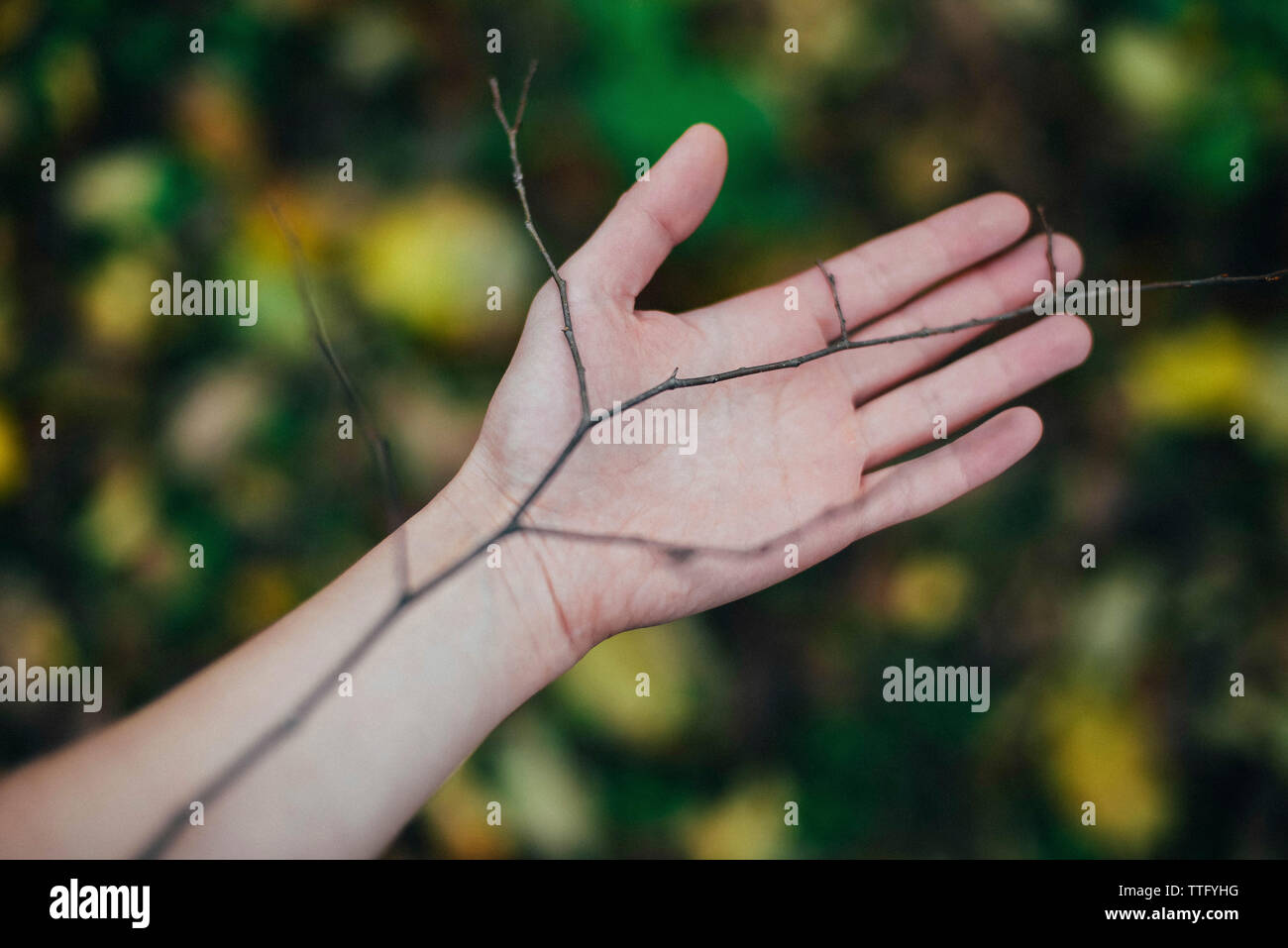Touching hand hi-res stock photography and images - Alamy
