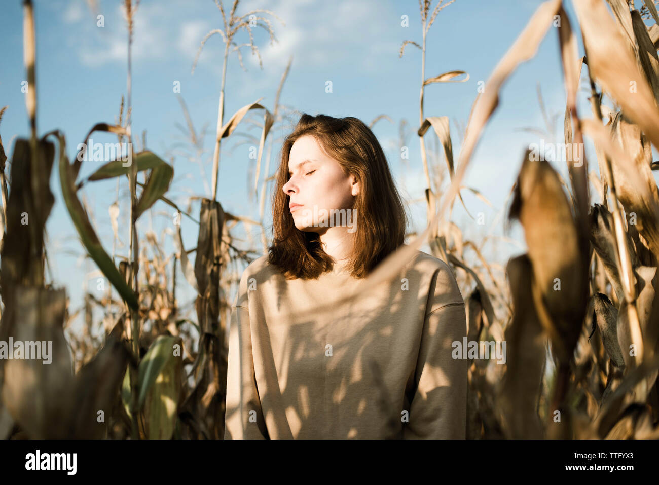 Beautiful portrait of a young stylish woman in a corn field Stock Photo ...