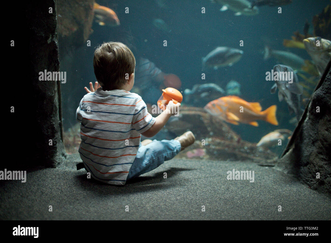 Water conservation study hi-res stock photography and images - Alamy