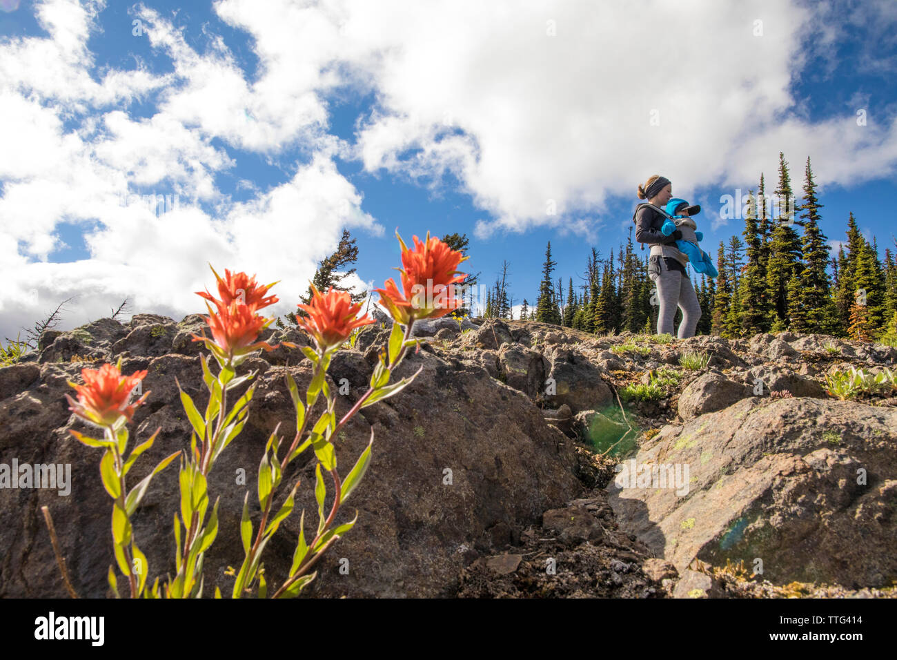 Mother hiking along alpine ridge with her child in a carrier Stock ...