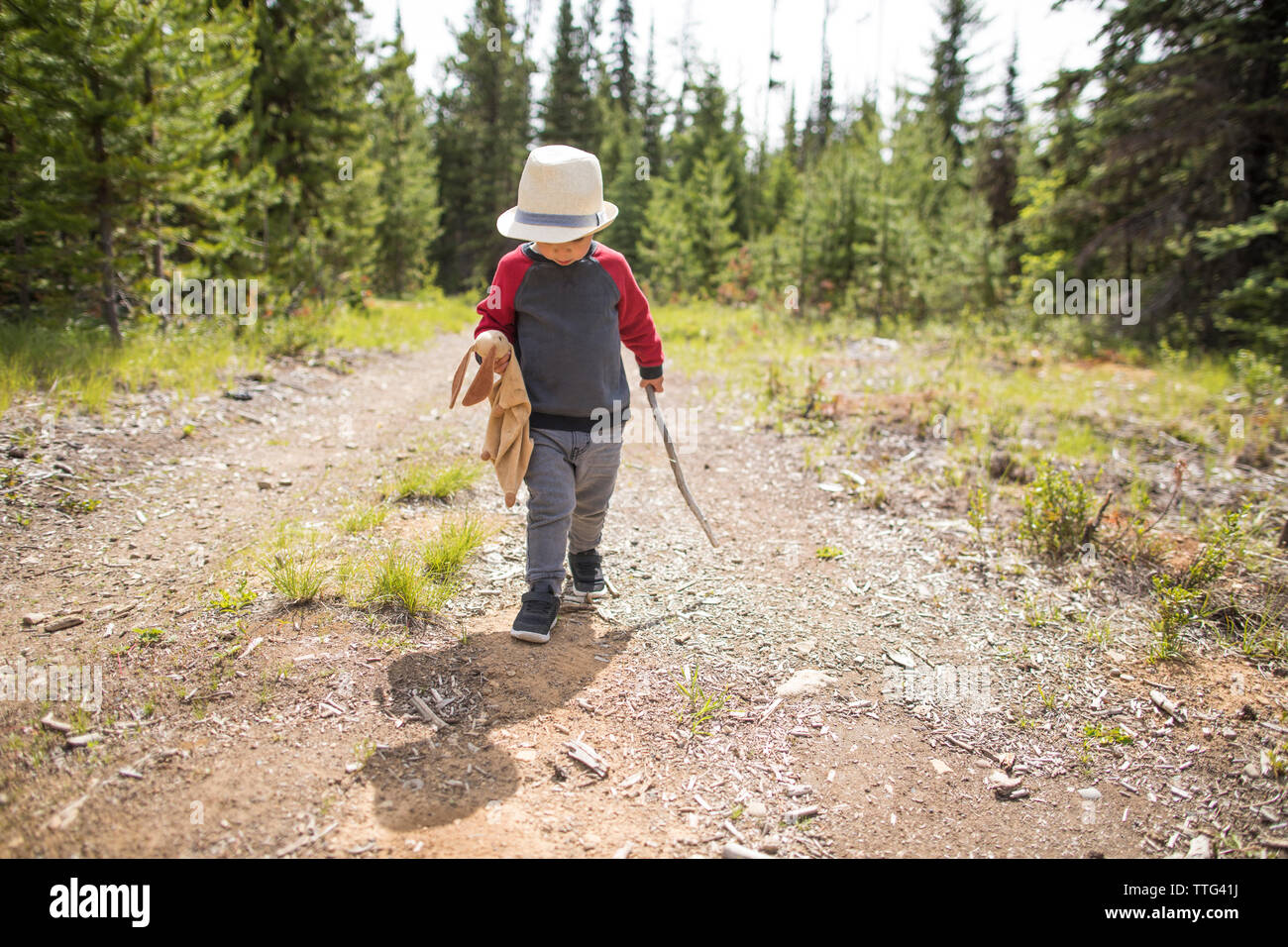 Young care-free boy walking on dirt path with walking stick and bunny ...