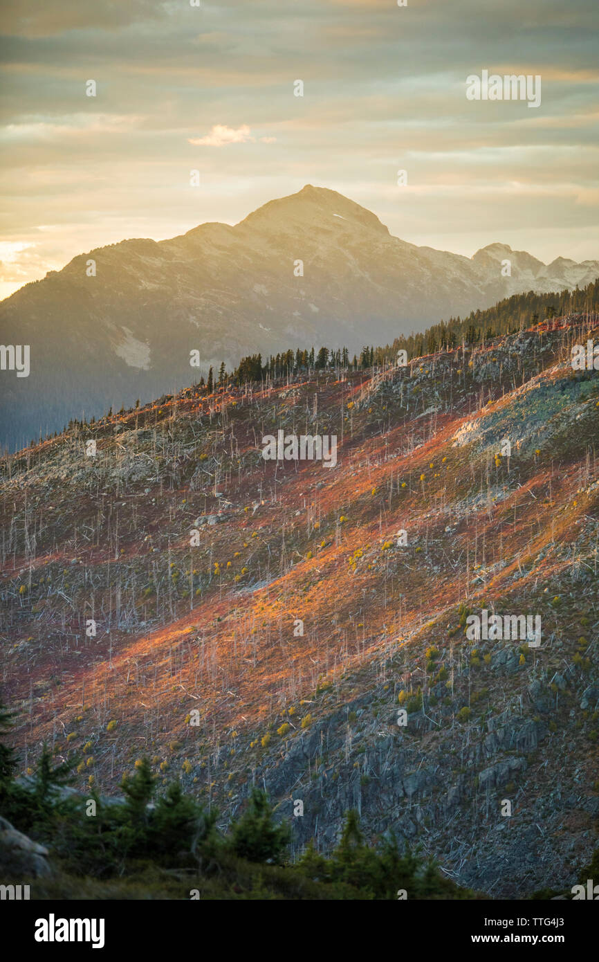 Range fire suppression hi-res stock photography and images - Alamy