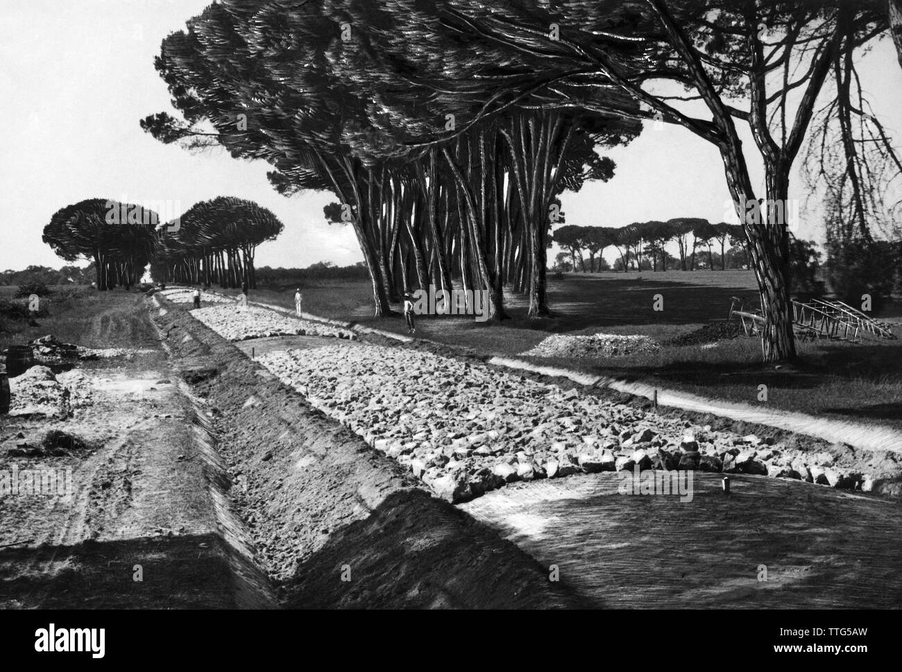 Italy, Tuscany, Coltano, land reclamation works, 1921 Stock Photo - Alamy