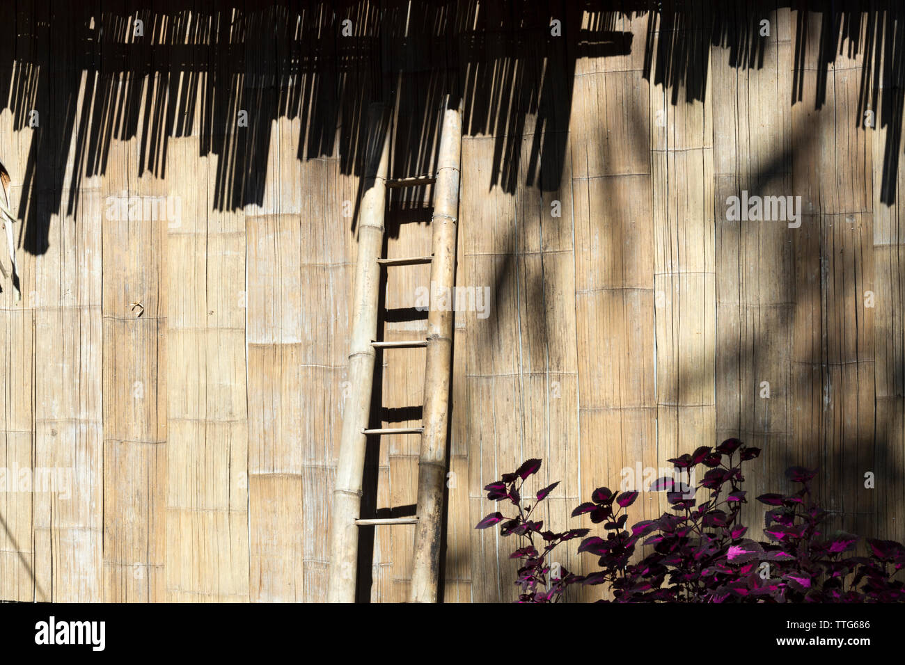 Detail of bamboo ladder and wall Stock Photo - Alamy
