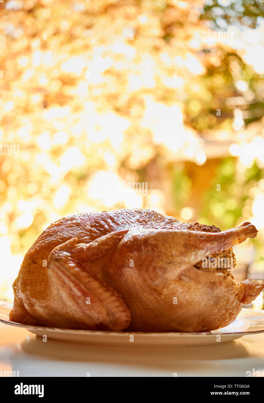 Turkey meat hi-res stock photography and images - Alamy