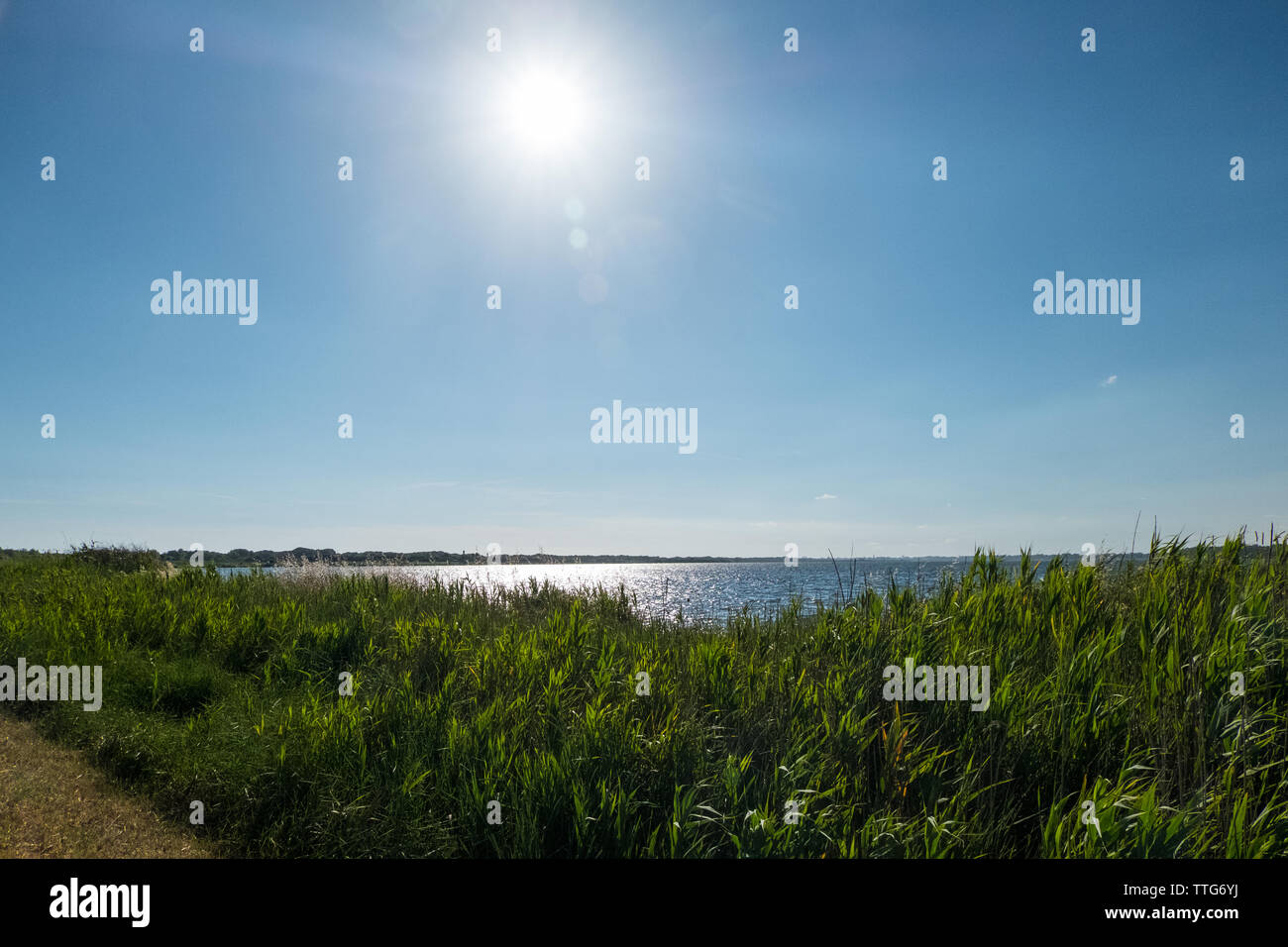 Bright sun over calm lake water Stock Photo - Alamy