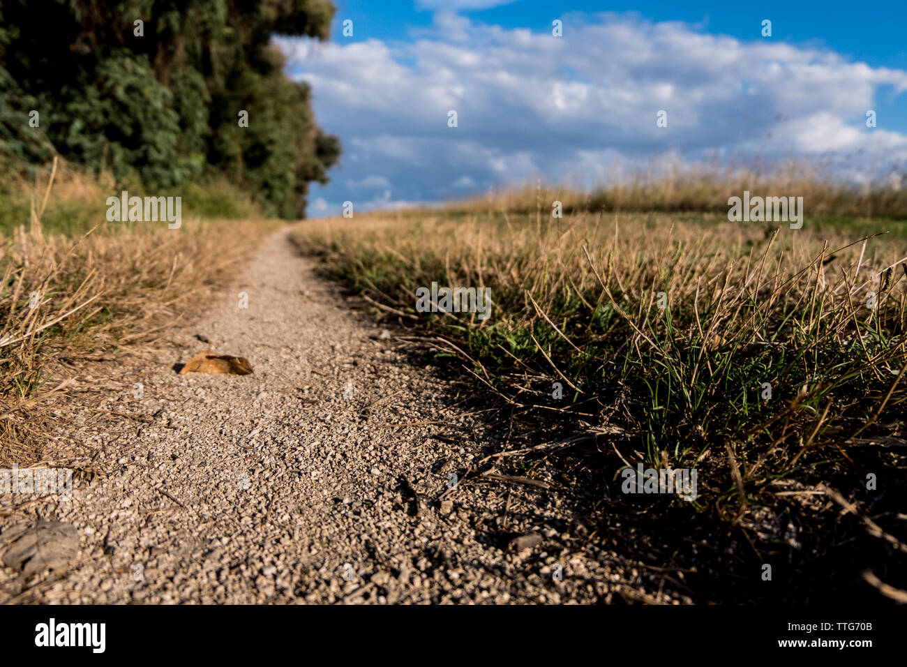 Trekking sandstone path Stock Photo - Alamy