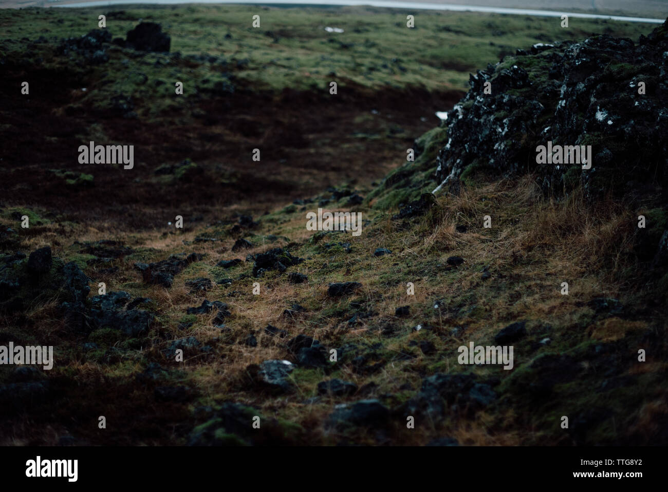 Rocky grassland hi-res stock photography and images - Alamy