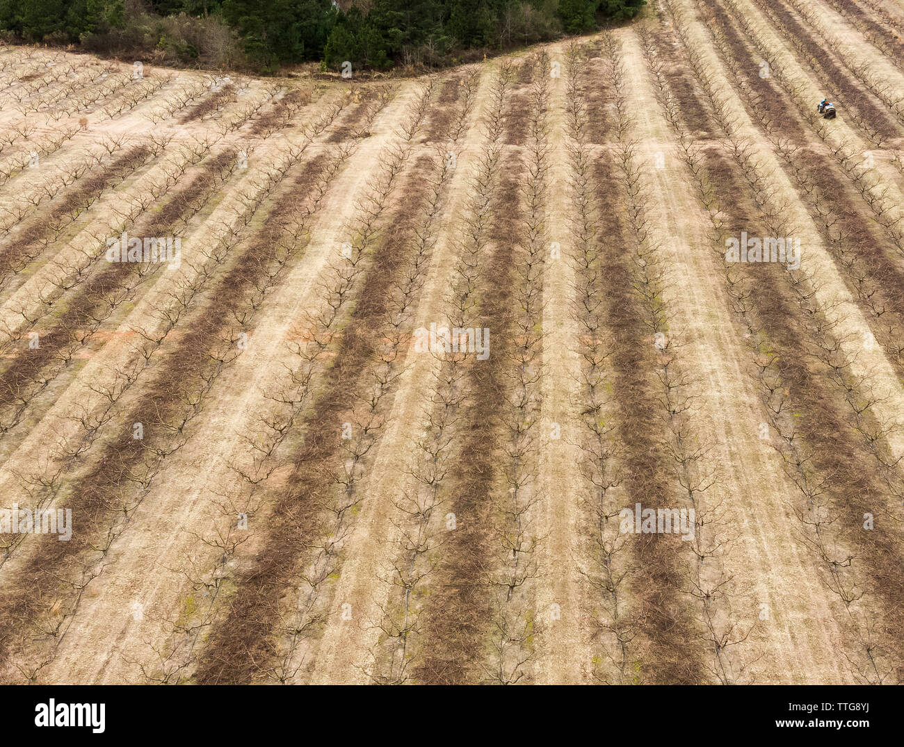Crop preservation hi-res stock photography and images - Alamy