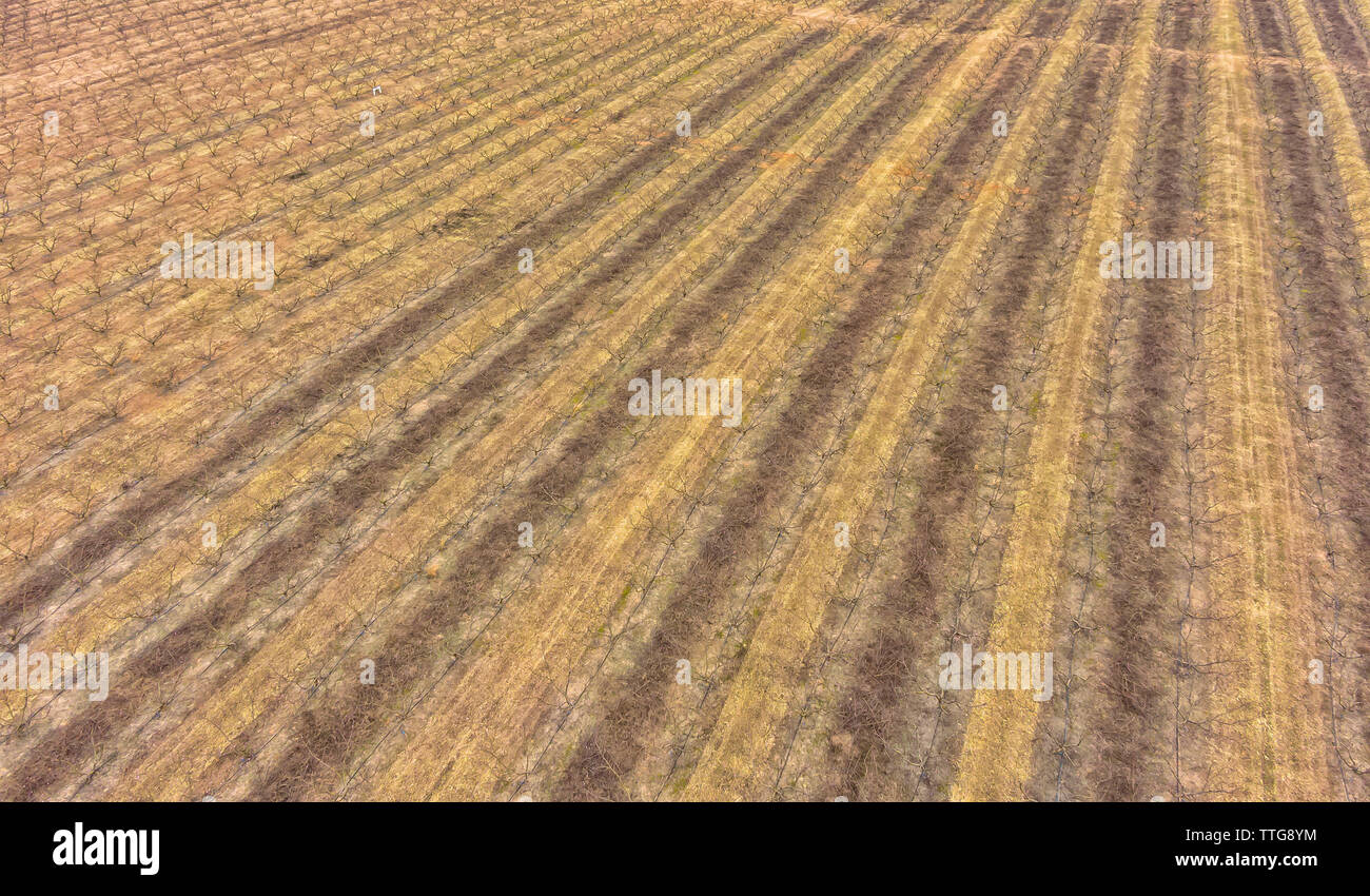 Farmland getting prepared for spring harvest Stock Photo - Alamy