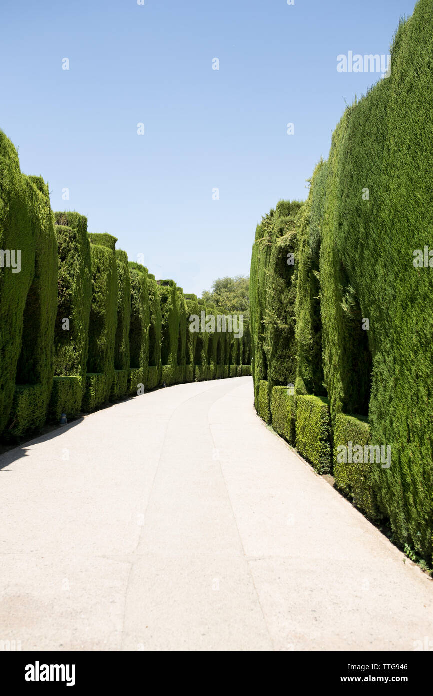 Arch through hedge hi-res stock photography and images - Alamy