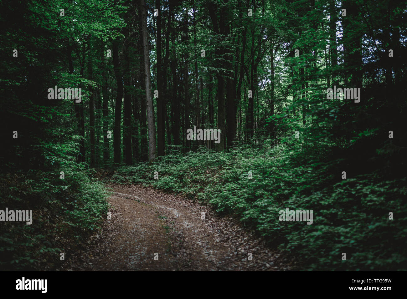 Curves path hi-res stock photography and images - Alamy