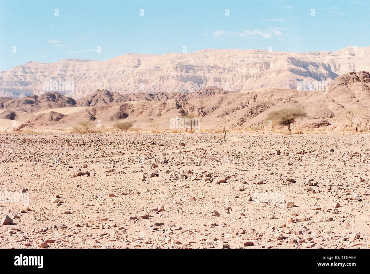 View of Arabah desert Stock Photo - Alamy