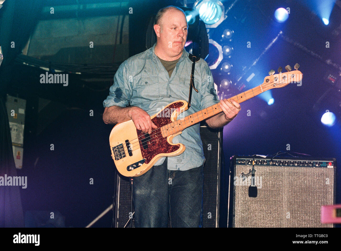 Tortoise all tomorrows parties hi-res stock photography and images - Alamy