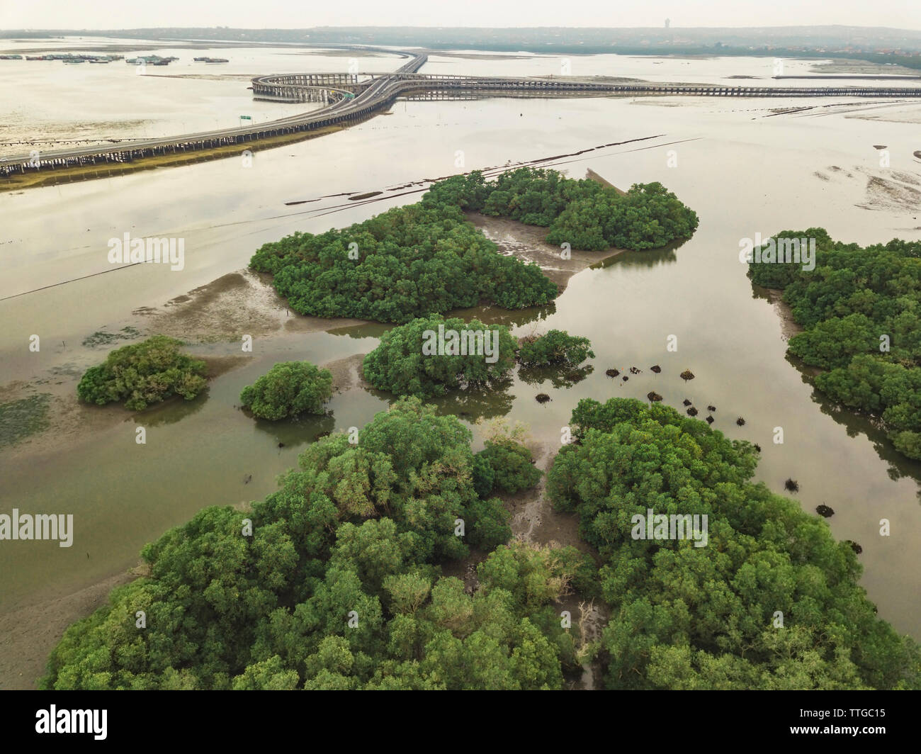 Aerial view of the mangrove forest Stock Photo - Alamy
