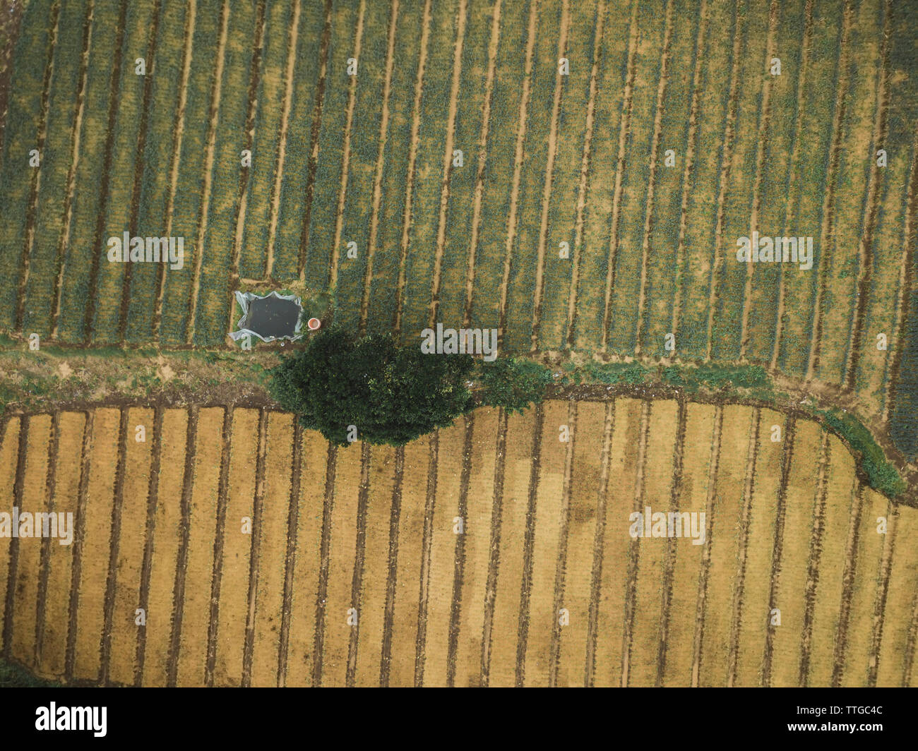 Aerial view of patchwork landscape Stock Photo - Alamy