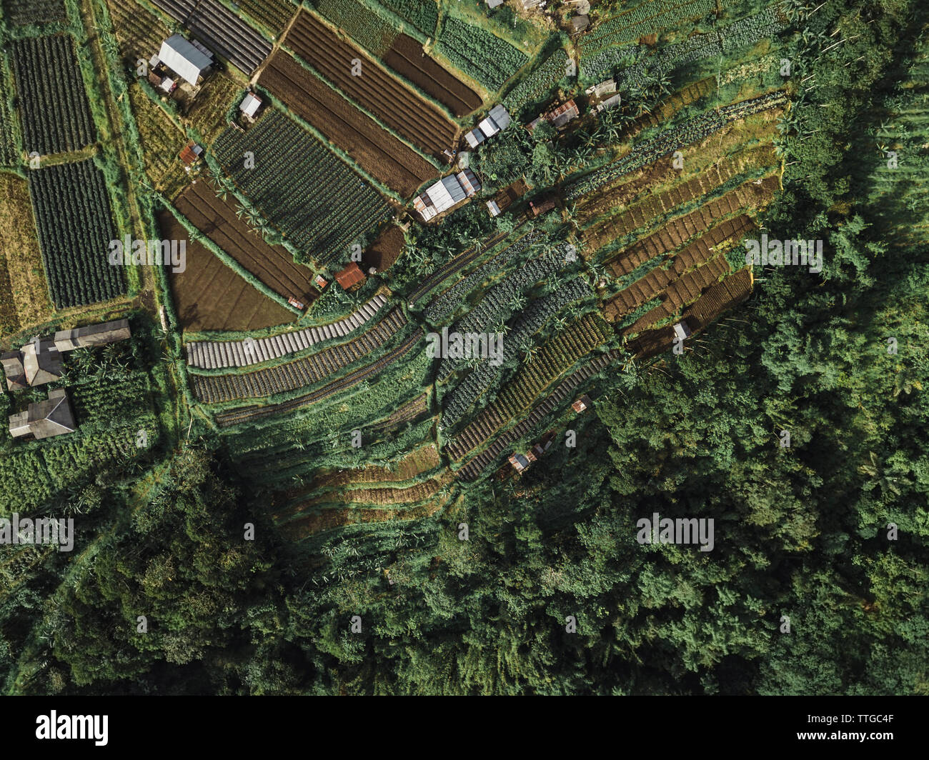 Aerial view of patchwork landscape Stock Photo - Alamy