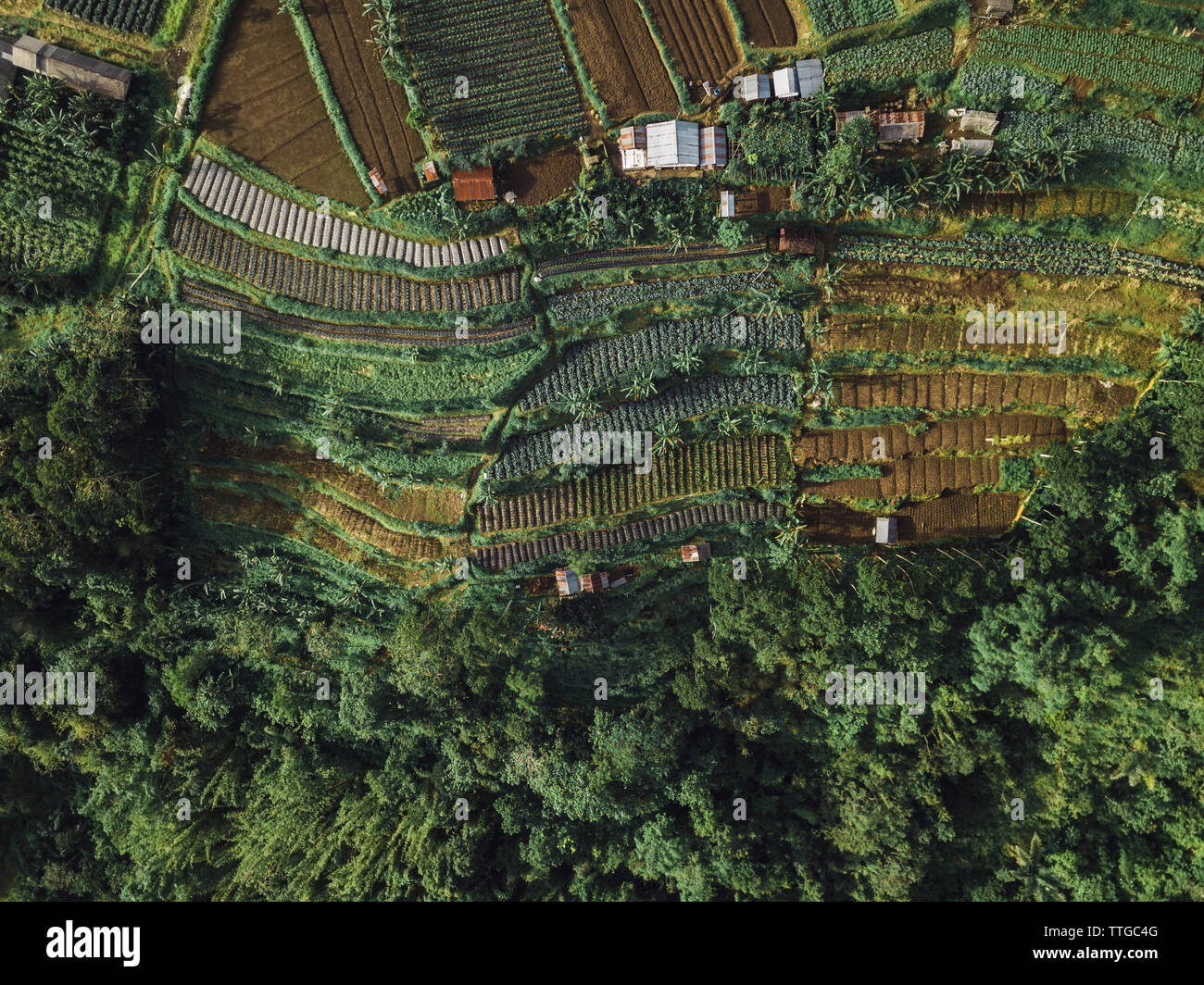 Aerial view of patchwork landscape Stock Photo - Alamy