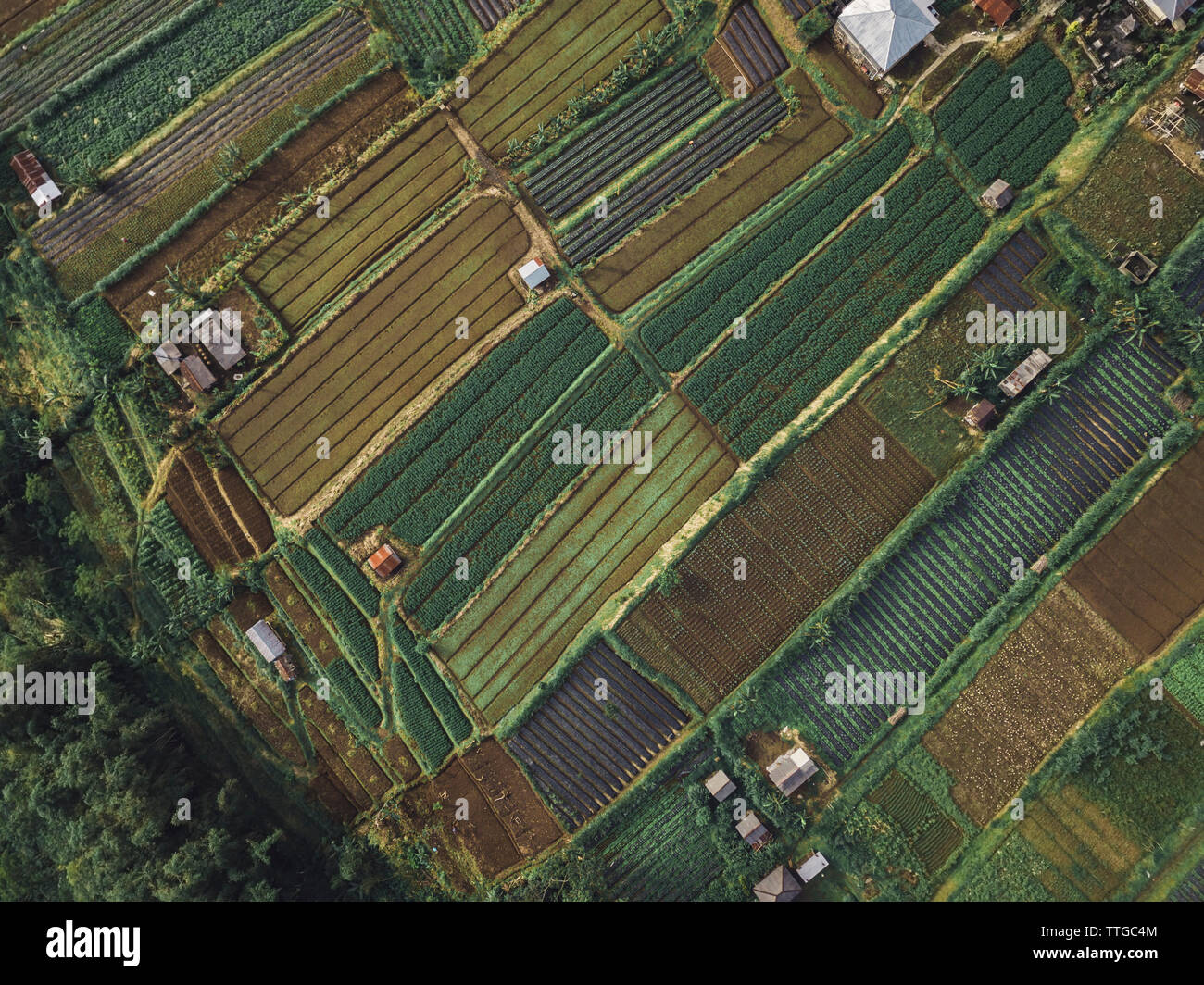 Aerial view of patchwork landscape Stock Photo - Alamy