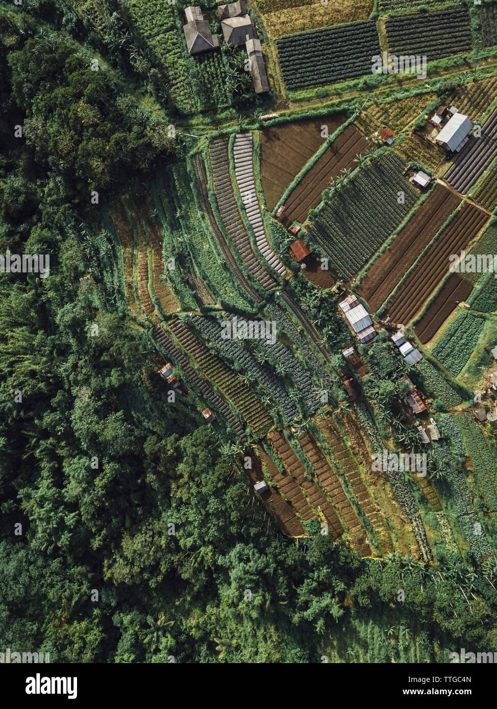 Aerial view of patchwork landscape Stock Photo - Alamy