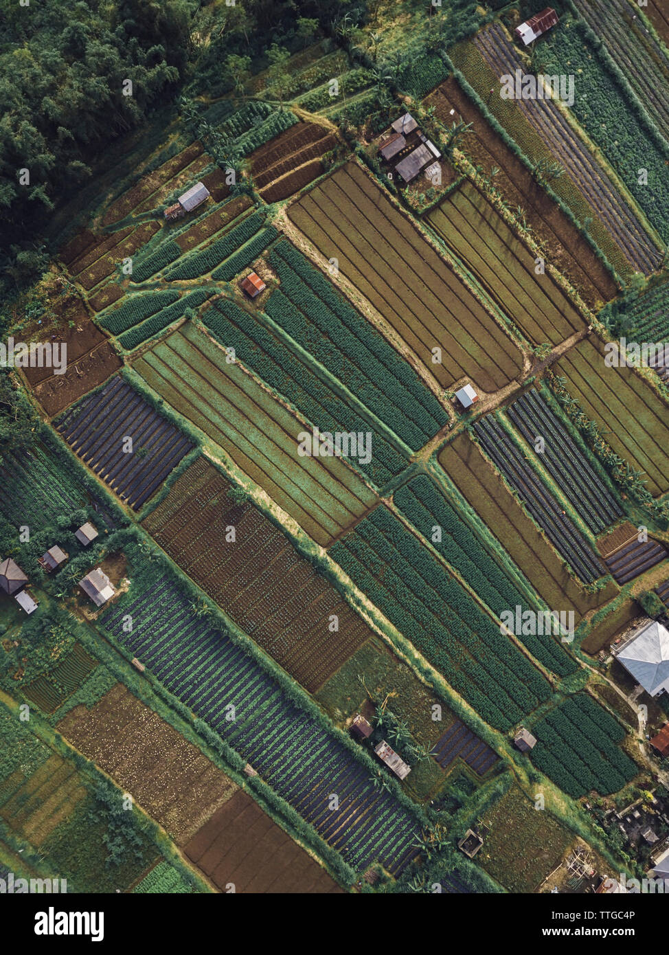 Aerial view of patchwork landscape Stock Photo - Alamy