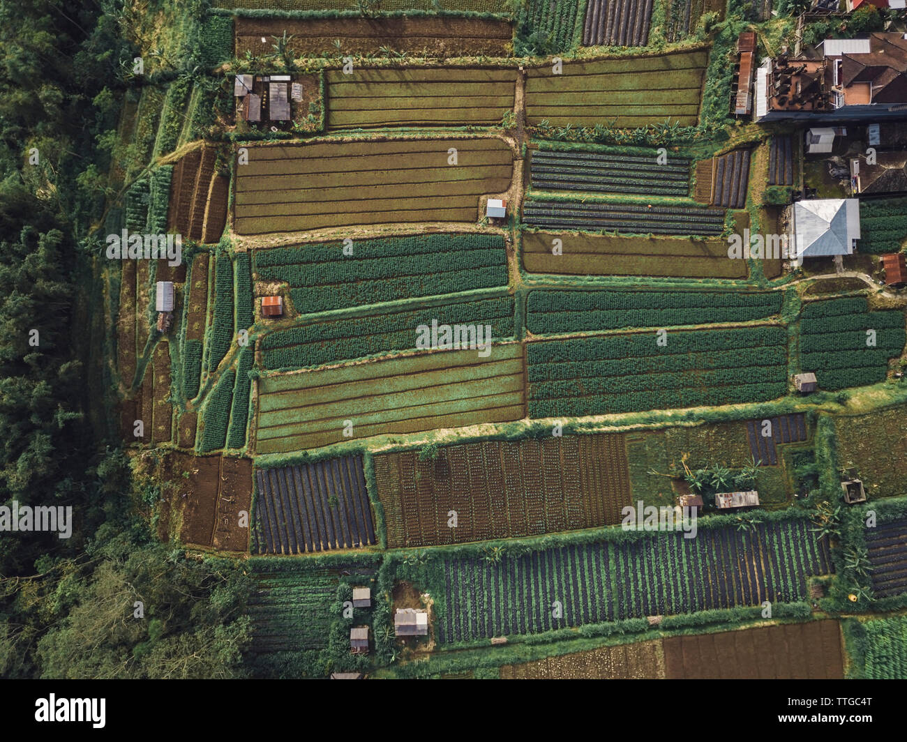 Aerial view of patchwork landscape Stock Photo - Alamy