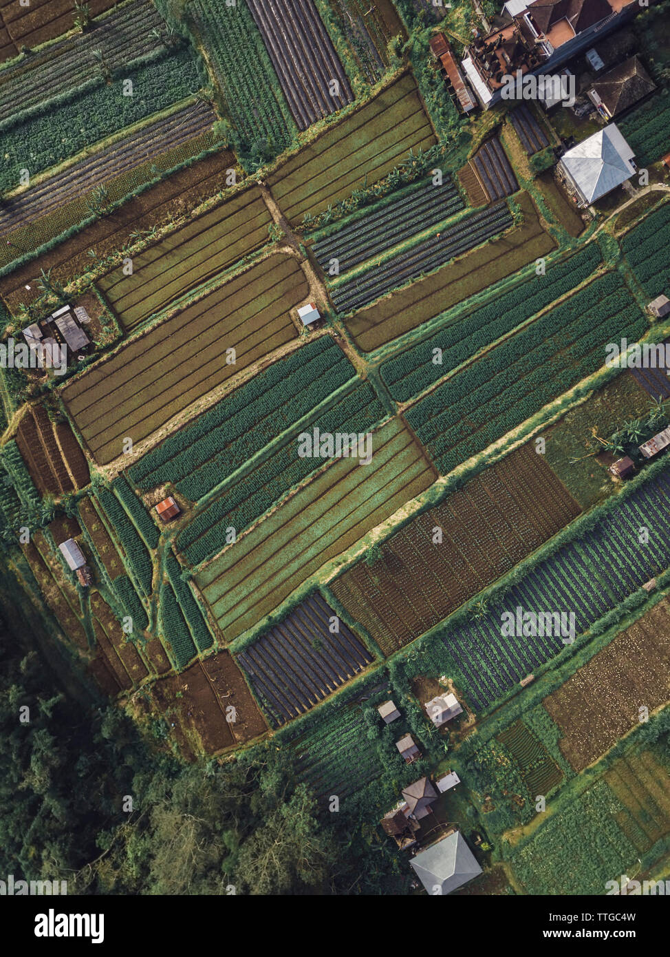 Aerial view of patchwork landscape Stock Photo - Alamy