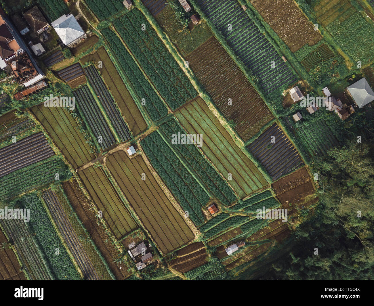 Aerial view of patchwork landscape Stock Photo - Alamy