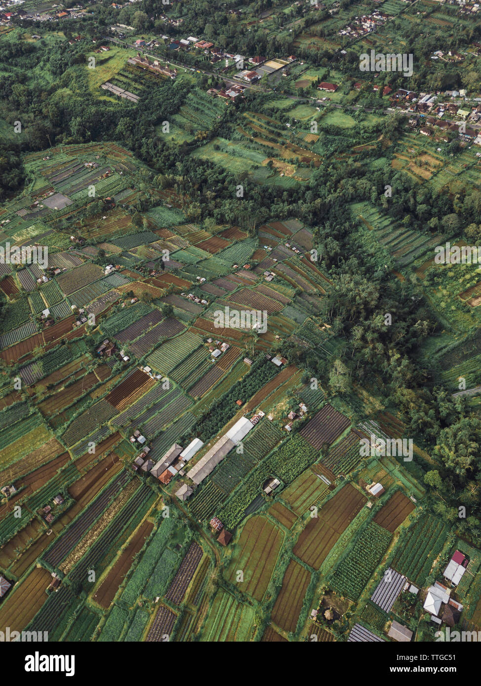 Aerial view of patchwork landscape Stock Photo - Alamy