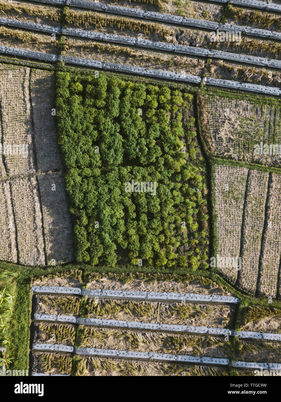 Aerial view of farm Stock Photo - Alamy