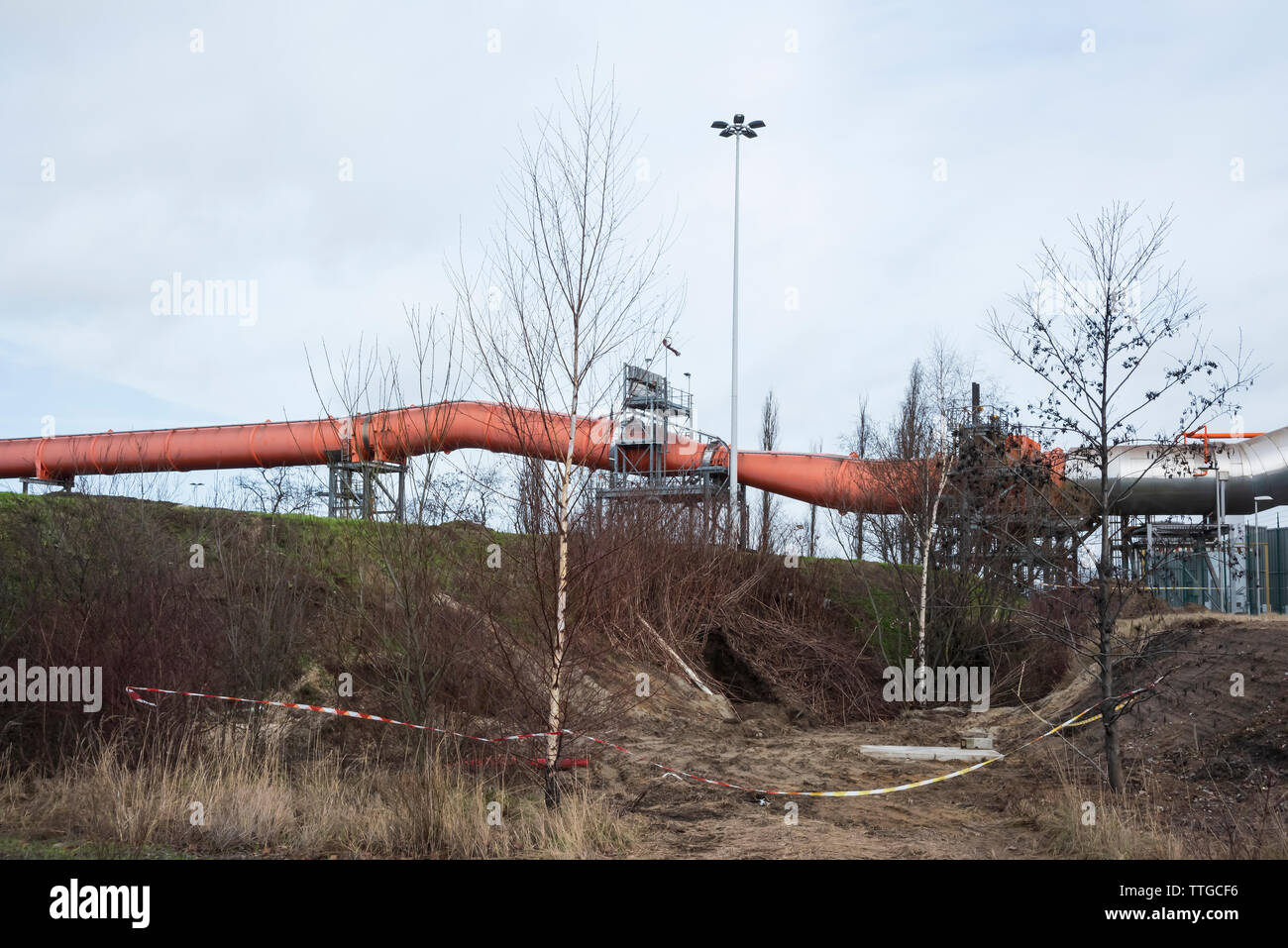 Pipeline and trees in an industrial landscape Stock Photo - Alamy