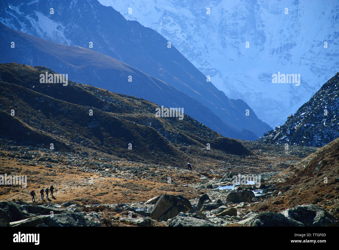 Trekkers in the Gokyo Valley Everest Region Nepal Stock Photo - Alamy
