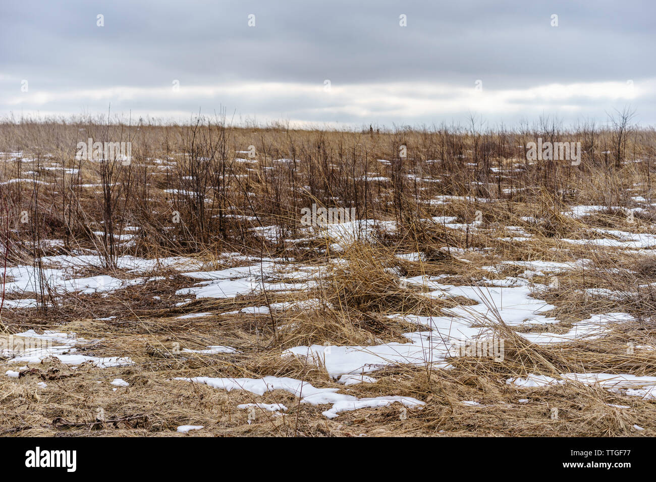 Prairie restoration hi-res stock photography and images - Alamy