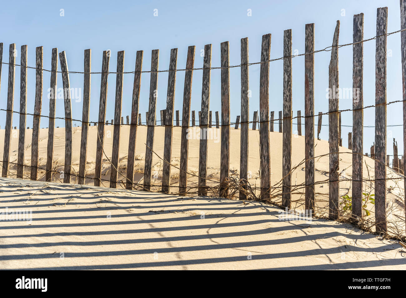 Sand fence and pattern of evening shadows along dune on barrier island ...
