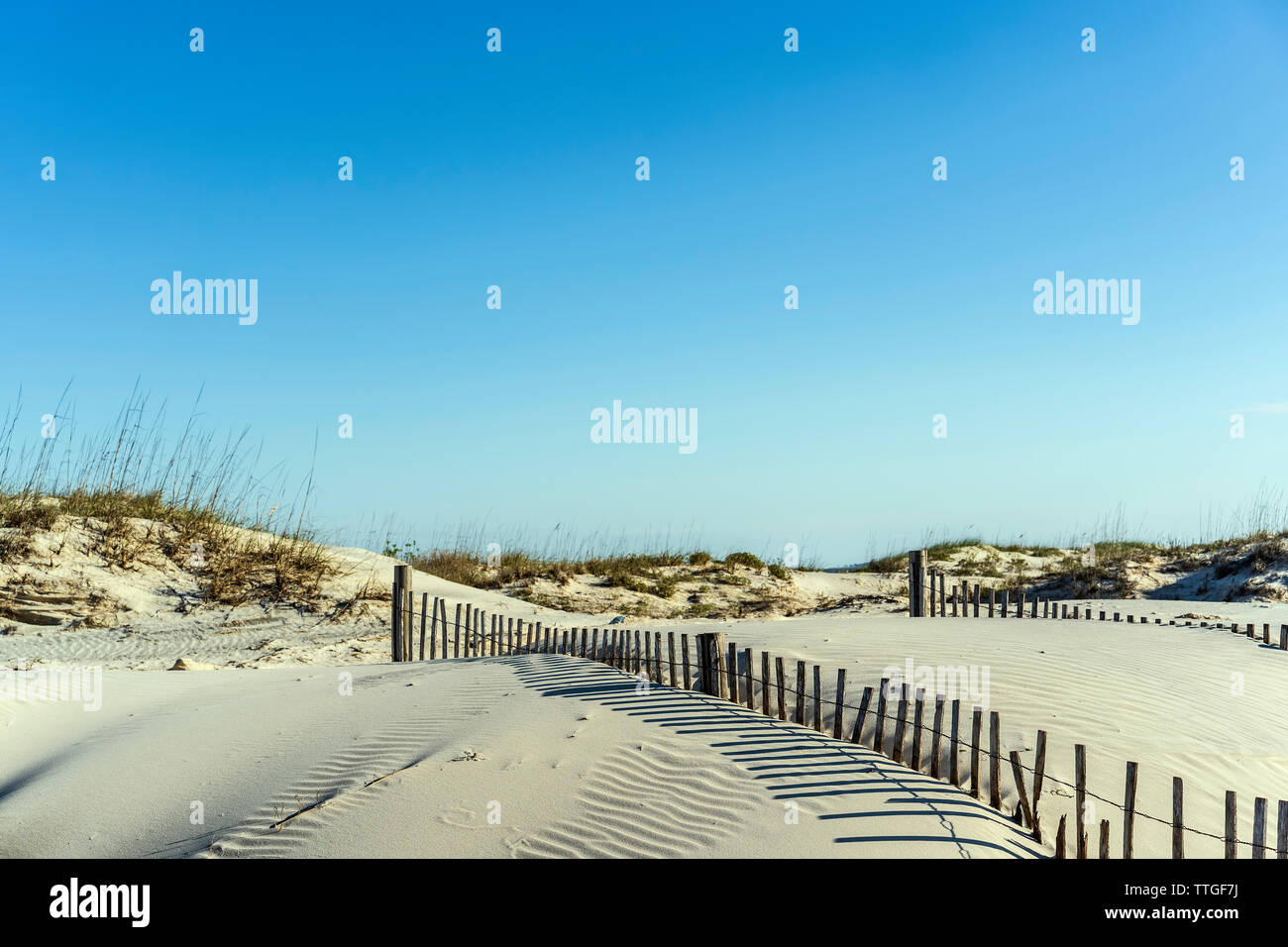 Drifting dunes with two sand fences, one with shadows, under blue sky ...