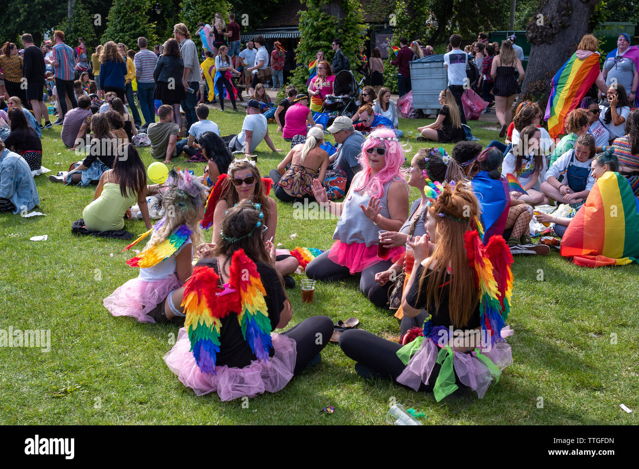 Crowds Celebrating Gay Pride Festival Stock Photo - Alamy