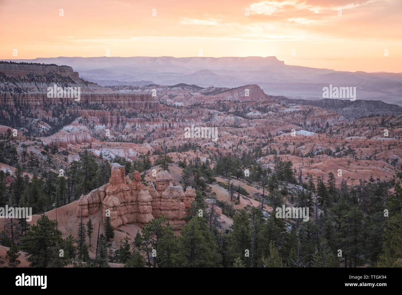 Sand Columns in Bryce Canyon Valley Stock Photo - Alamy