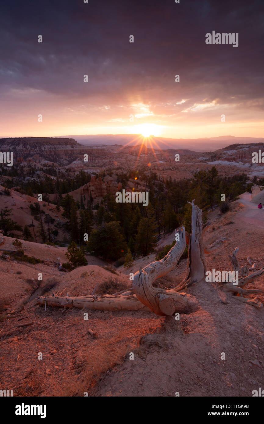 Sun emerging hi-res stock photography and images - Alamy