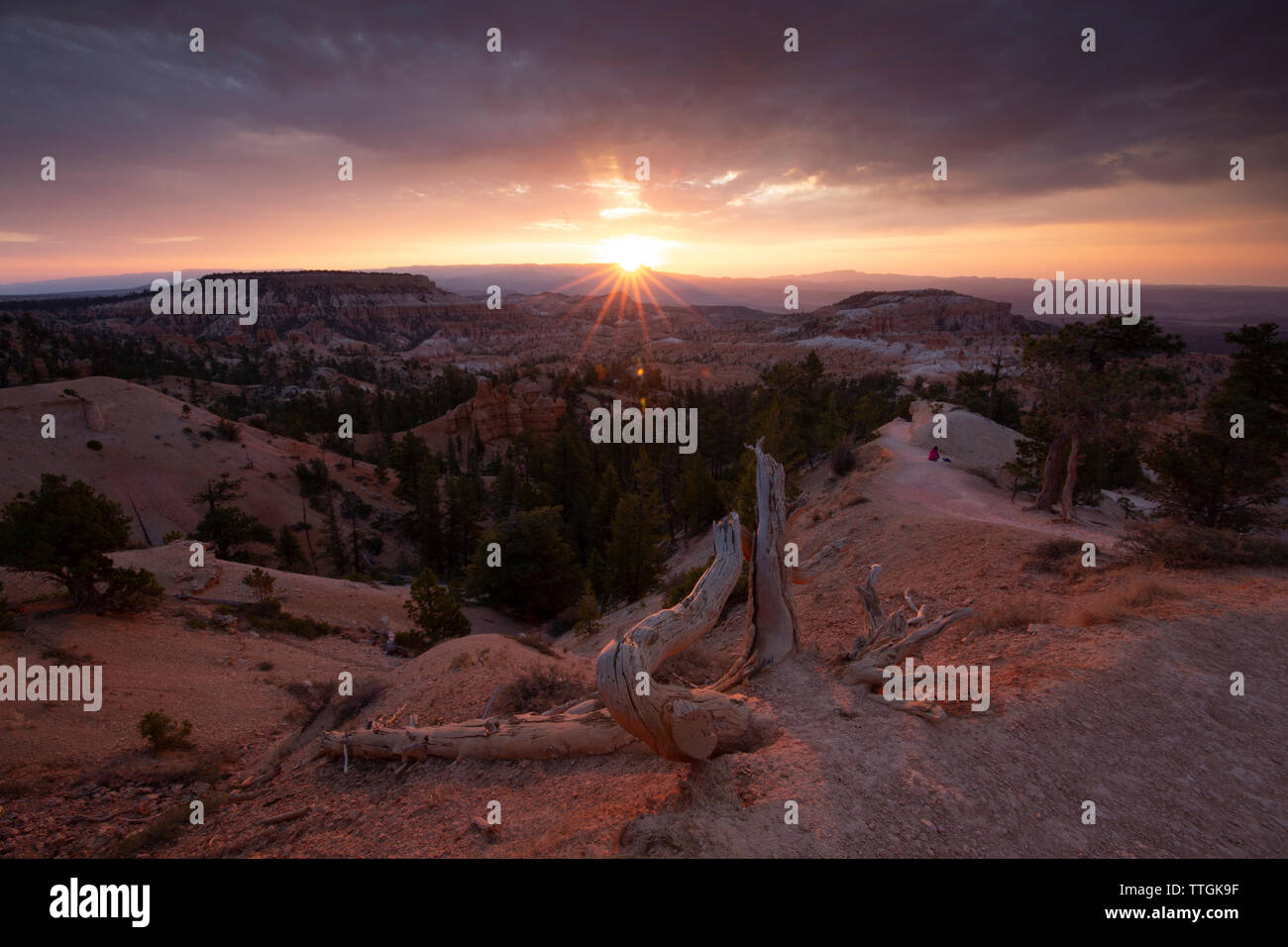 Sun emerging hi-res stock photography and images - Alamy