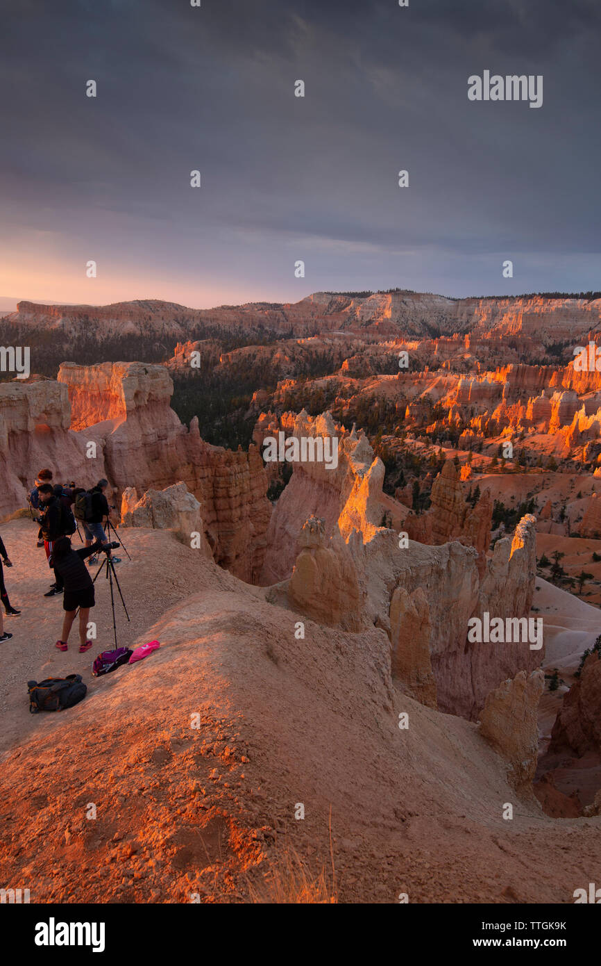 Sand columns in Bryce Canyon at sunrise Stock Photo - Alamy