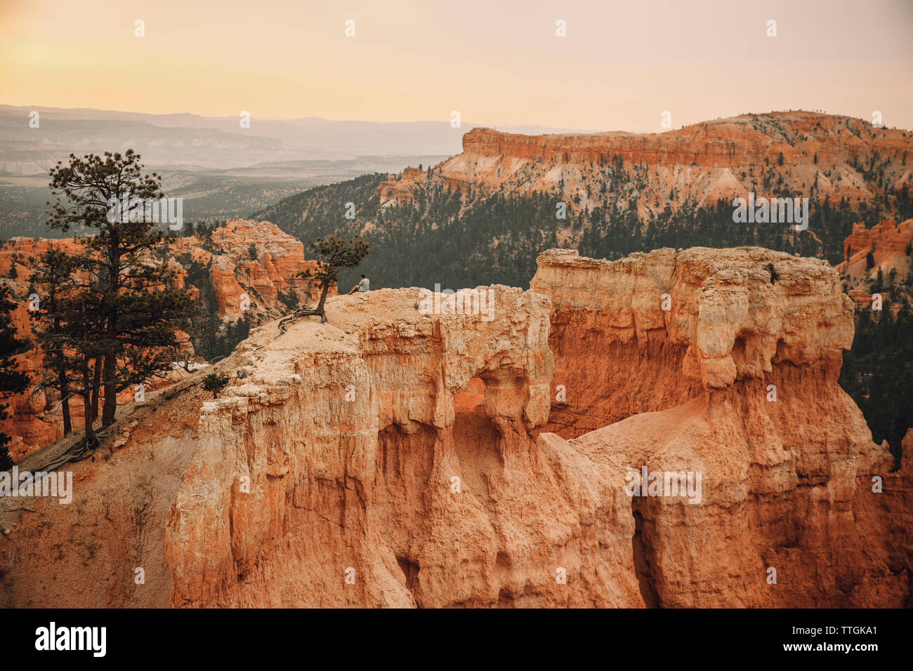 Sand Columns in Bryce Canyon Valley Stock Photo - Alamy
