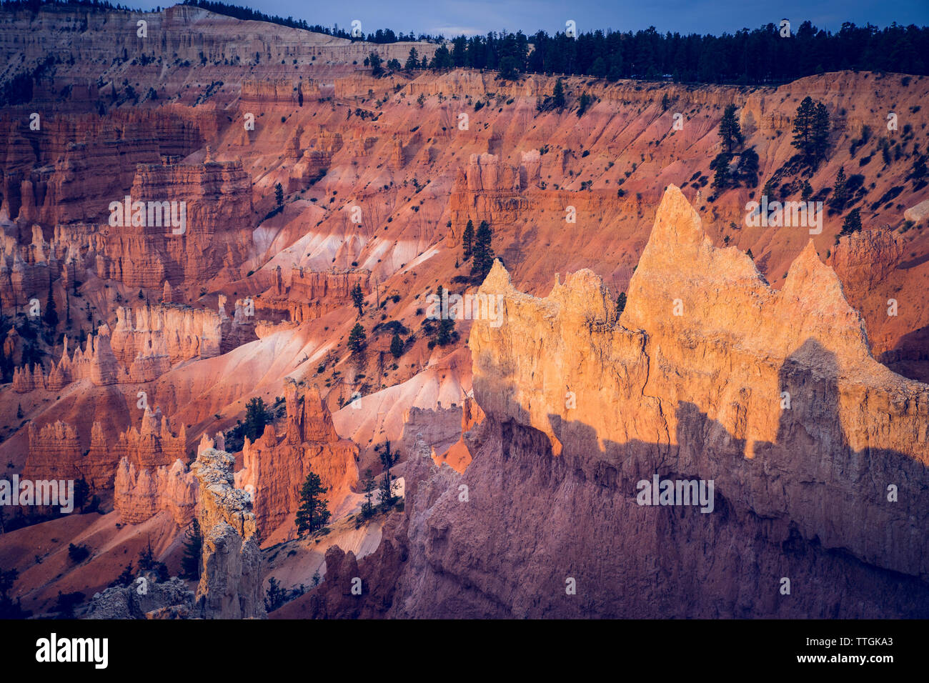 Sand Columns in Bryce Canyon Valley Stock Photo - Alamy
