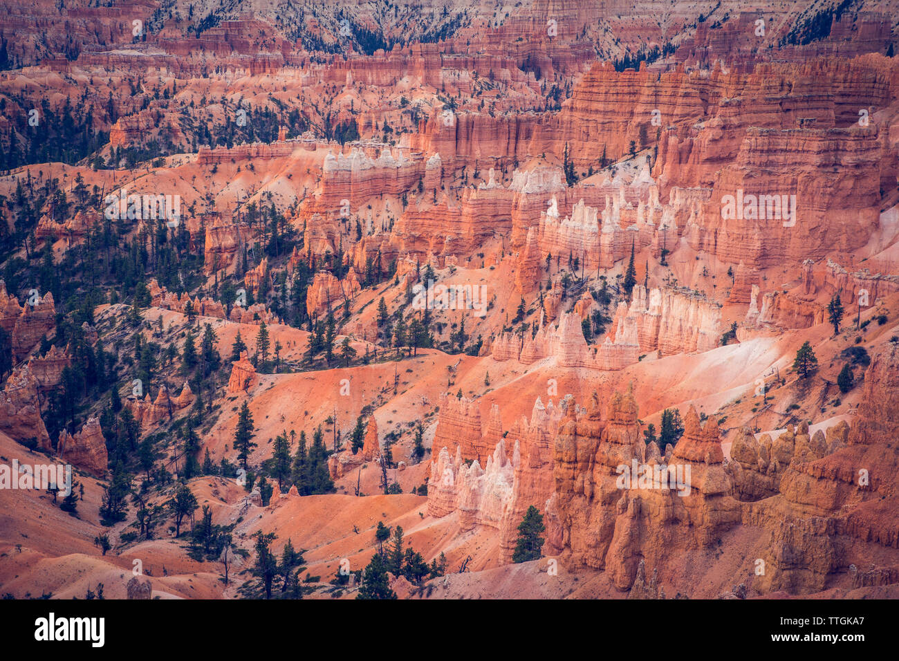 Sand Columns in Bryce Canyon Valley Stock Photo - Alamy