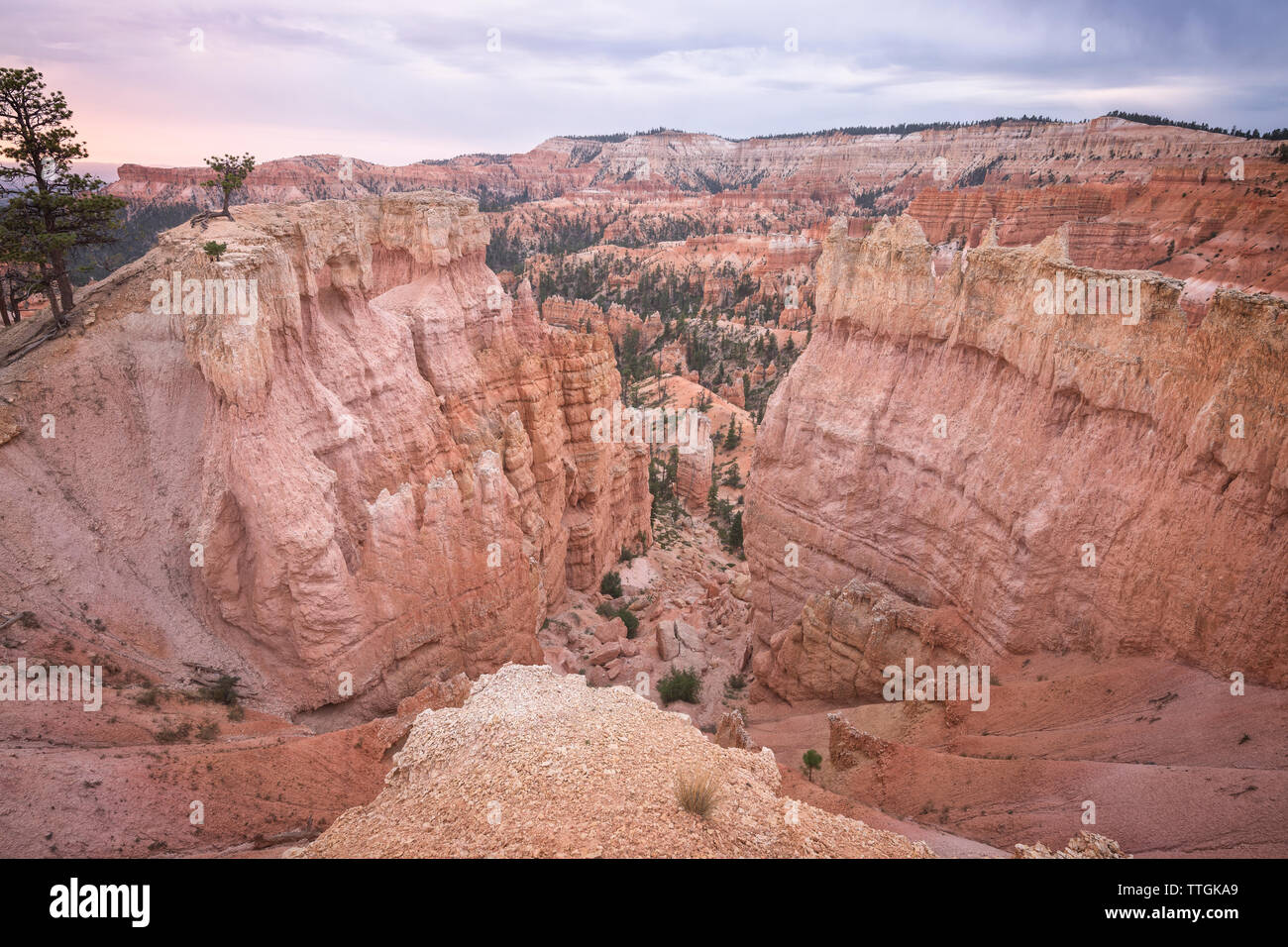 Sand Columns in Bryce Canyon Valley Stock Photo - Alamy