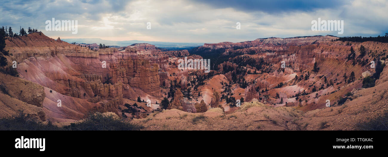 Sand Columns in Bryce Canyon Valley in panoramic view Stock Photo - Alamy